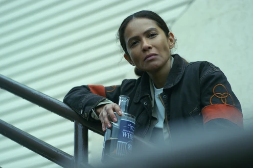 Lesley-Ann Brandt | The Walking Dead Wiki | Fandom