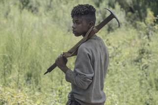 Angel Theory | The Walking Dead Wiki | Fandom