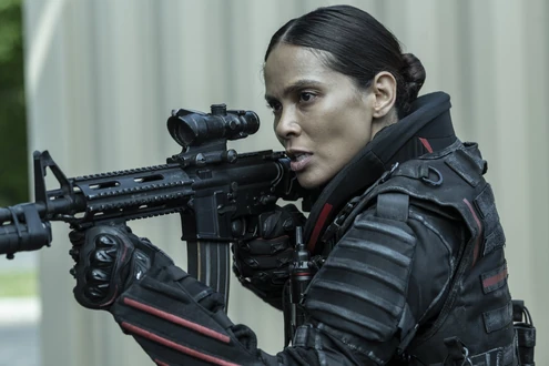 Lesley-Ann Brandt | The Walking Dead Wiki | Fandom