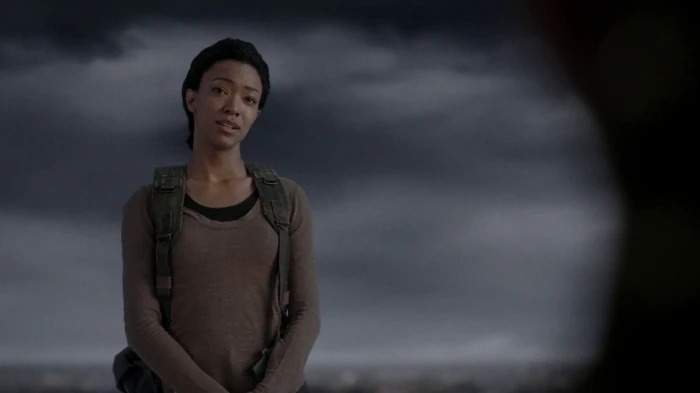 Sasha/temporada 9 | The Walking Dead Wiki | Fandom