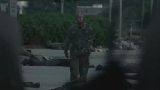 Zombicidios: Wildfire | The Walking Dead Wiki | Fandom