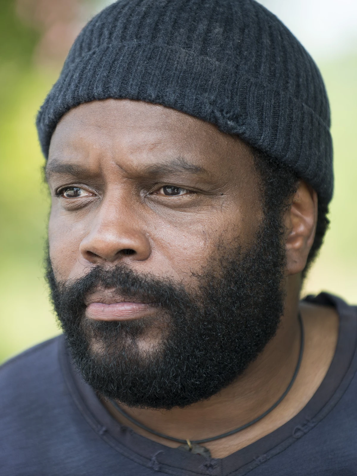 Tyreese Williams | The Walking Dead Wiki | Fandom