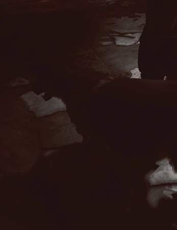 Fluffy | The Walking Dead X Call of Duty Zombies Wiki | Fandom