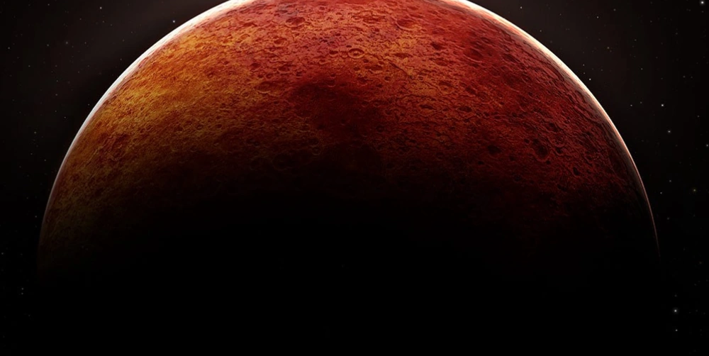 Caju | Thewalllaboutspace Wiki | Fandom