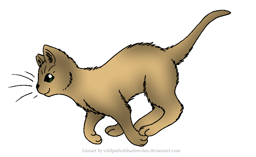 Loner | The Warrior Cats Role Play Wiki | Fandom