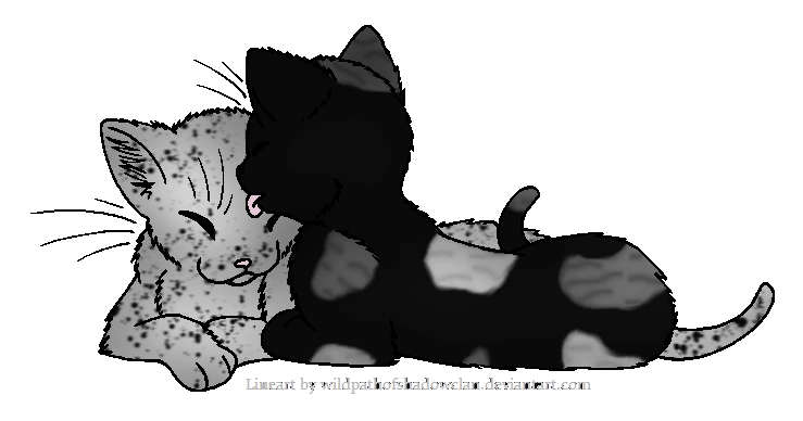 Moongaze | The Warrior Cats Role Play Wiki | Fandom