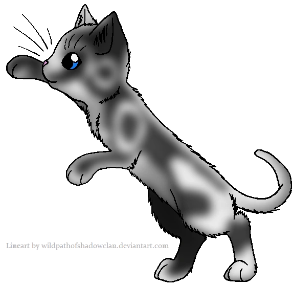 Ivypaw | The Warrior Cats Role Play Wiki | Fandom