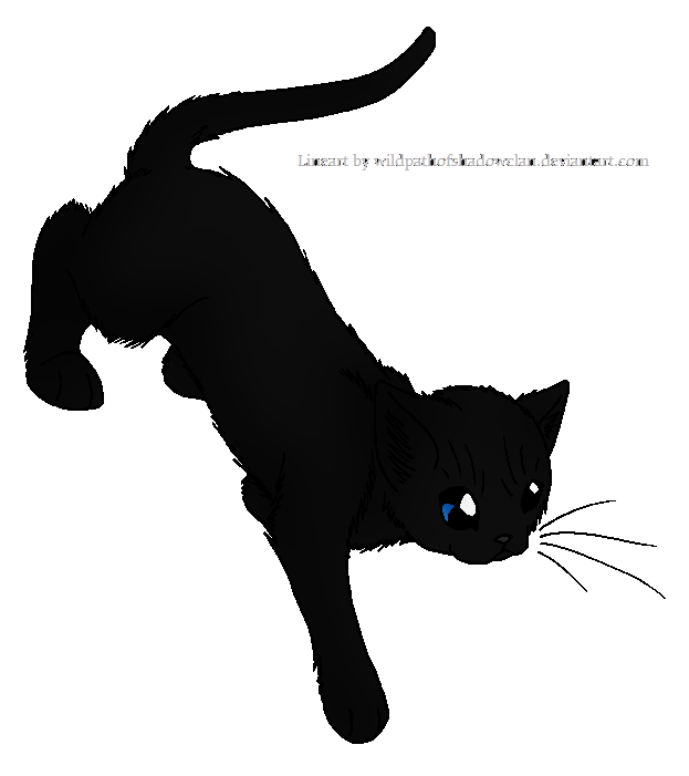 Shadow (HawkClan) | The Warrior Cats Role Play Wiki | Fandom