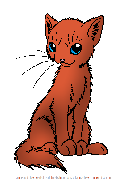 Firesky | The Warrior Cats Role Play Wiki | Fandom