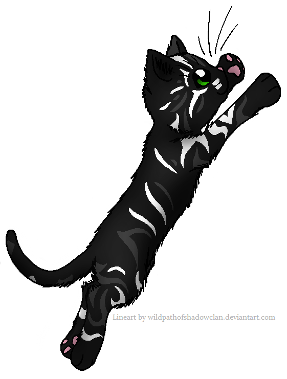 Nightfang | The Warrior Cats Role Play Wiki | Fandom