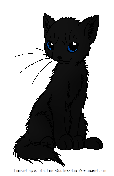 Wolftalon | The Warrior Cats Role Play Wiki | Fandom