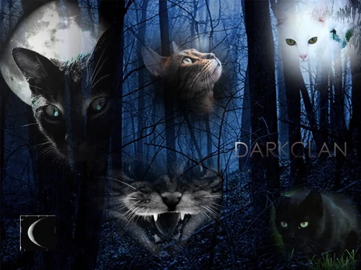 DarkClan | Warrior Cats Roleplay Wiki | Fandom
