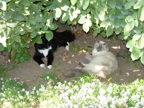 Nursery | TWoA Wiki | Fandom