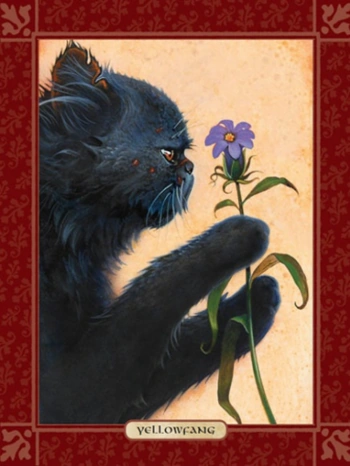 Yellowfang | Warriors Wiki | Fandom