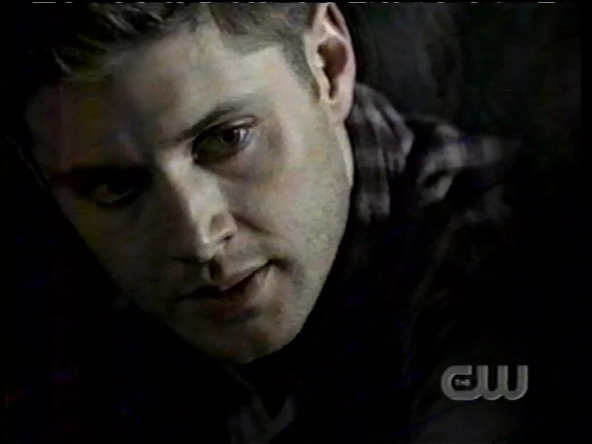 May 17, 2007 | The WB/CW Archives | Fandom