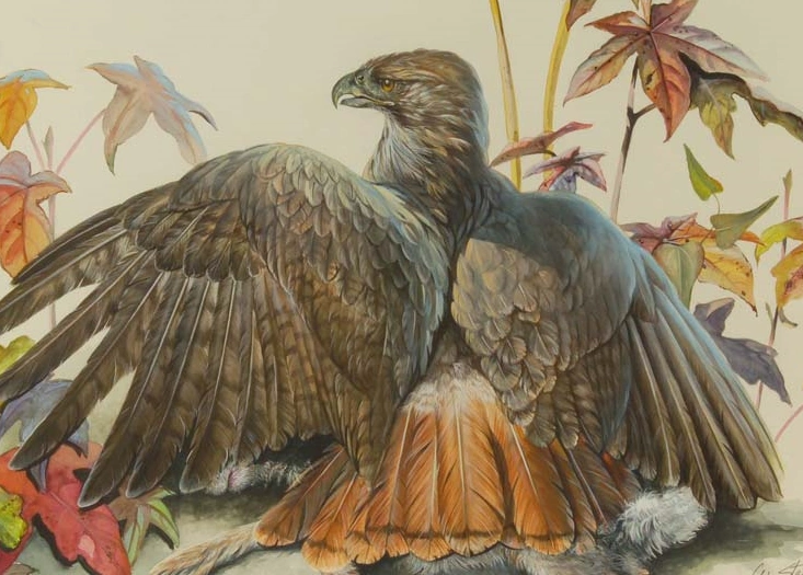 Dirgen | The White King Wiki | Fandom