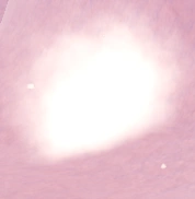 Evil Snowman | The Wild West Wiki | Fandom