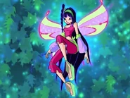 Musa's Fairy Forms | The Winx Wiki | Fandom