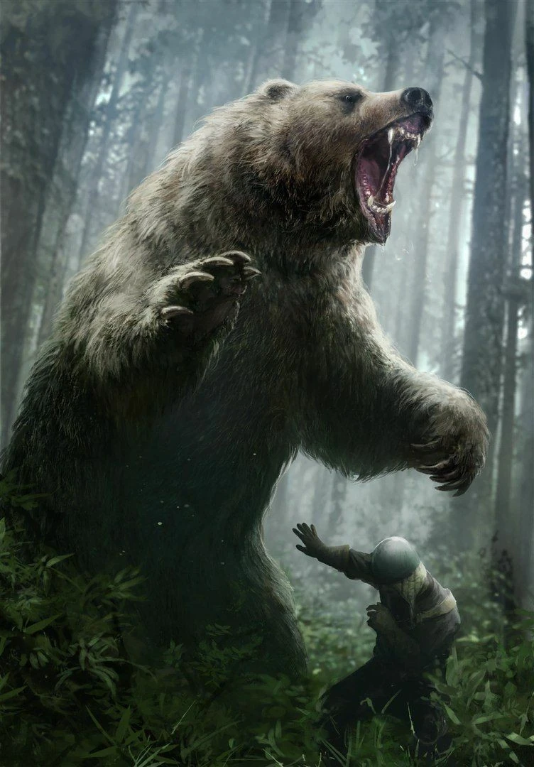 Urso | The Witcher Wiki | Fandom