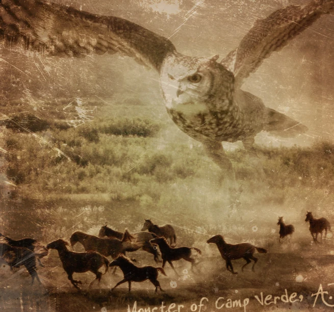 Giant Owl Man | The Witches' Rede Wiki | Fandom