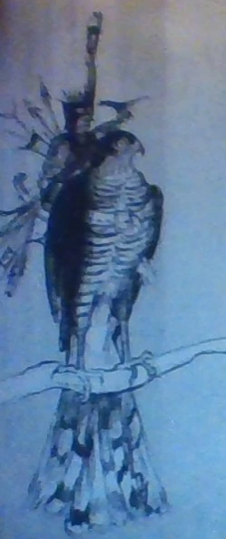 The Once-Sprite | The Wizards of Once Wiki | Fandom