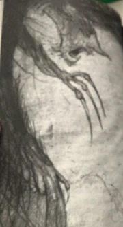 Witch | The Wizards of Once Wiki | Fandom