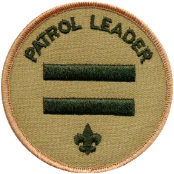 Category:Past Patrol Leaders | The Wolverines Patrol Wiki | Fandom