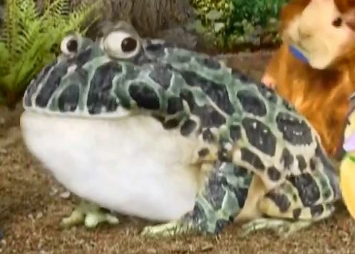 Grandfather Bullfrog | Wonder Pets! Wiki | Fandom