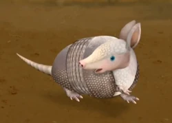 Baby Armadillo | Wonder Pets! Wiki | Fandom