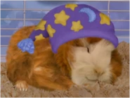 Save the Bat! | Wonder Pets! Wiki | Fandom