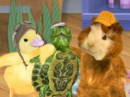 Help the Lion Cub! | Wonder Pets! Wiki | Fandom