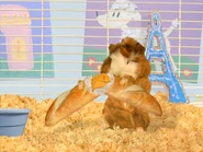 Save the Poodle! | Wonder Pets! Wiki | Fandom