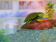 Save the Beetles! (episode) | Wonder Pets! Wiki | Fandom