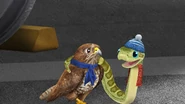 Help the Little Hawk! | Wonder Pets! Wiki | Fandom