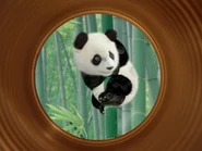 Save the Panda! | Wonder Pets! Wiki | Fandom