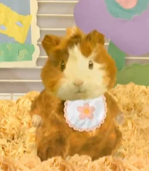Linny | Wonder Pets! Wiki | Fandom