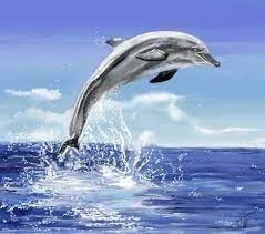 Father dolphin | Wonder Pets! Wiki | Fandom