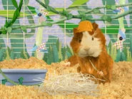 Save the Ladybug! | Wonder Pets! Wiki | Fandom