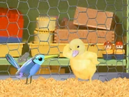 Save the Flamingo! | Wonder Pets! Wiki | Fandom