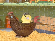 Save the Poodle! | Wonder Pets! Wiki | Fandom