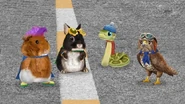 Help the Little Hawk! | Wonder Pets! Wiki | Fandom