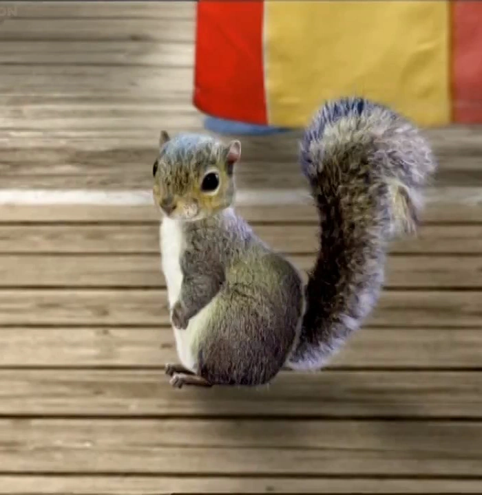 Baby Squirrel | Wonder Pets! Wiki | Fandom