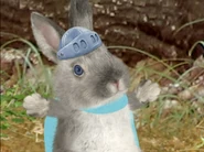 Ollie the Bunny/gallery | Wonder Pets! Wiki | Fandom