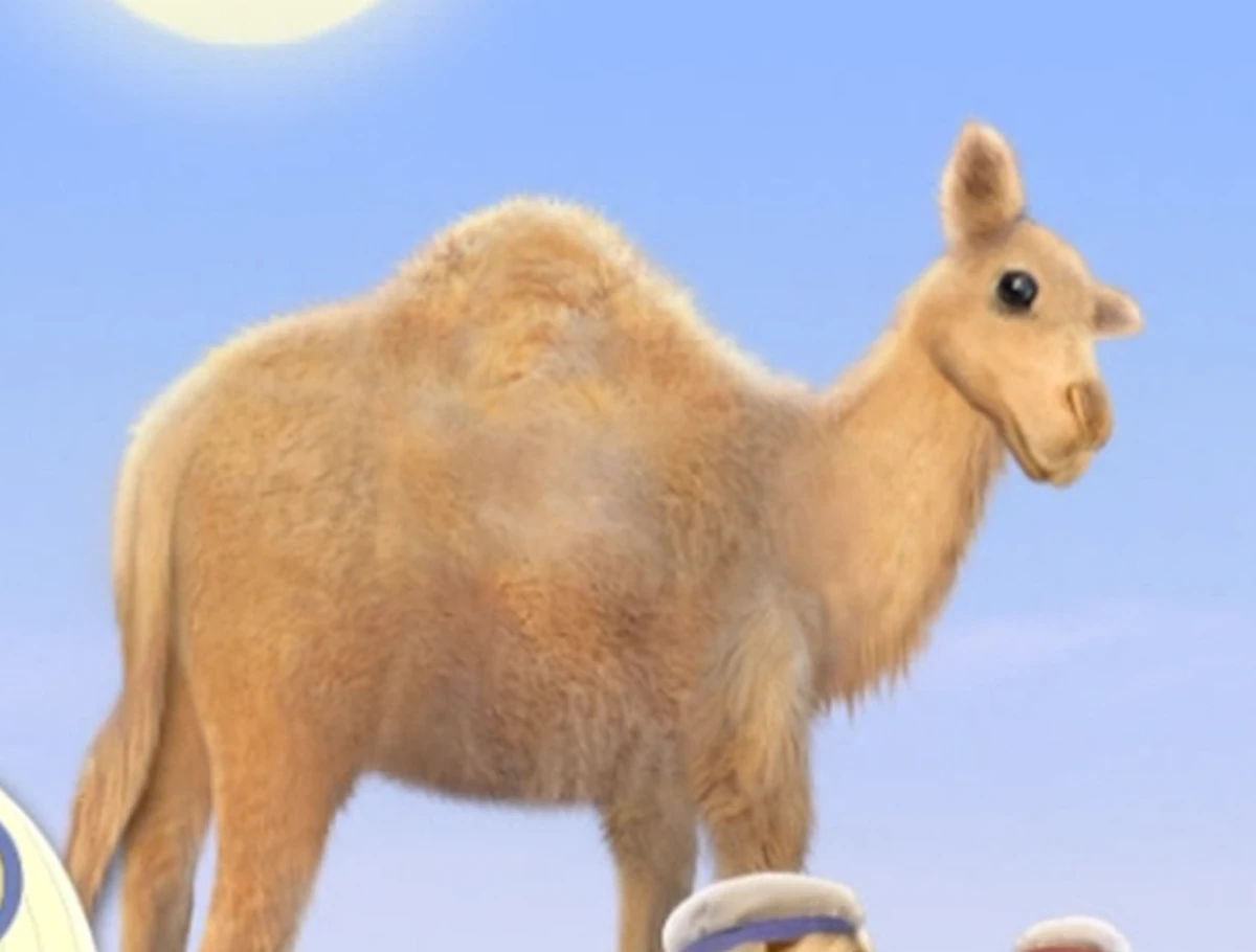 Baby Camel | Wonder Pets! Wiki | Fandom