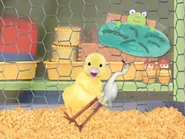 Save the Bullfrog! | Wonder Pets! Wiki | Fandom