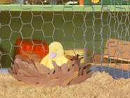 Save the Baby Birds! | Wonder Pets! Wiki | Fandom