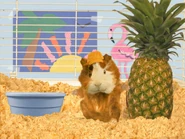 Save the Flamingo! | Wonder Pets! Wiki | Fandom