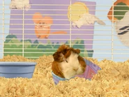 Save the Mouse! | Wonder Pets! Wiki | Fandom