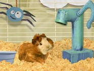 Save the Itsy Bitsy Spider! | Wonder Pets! Wiki | Fandom