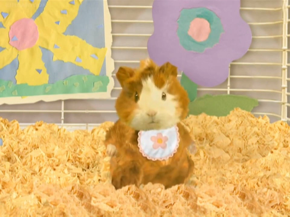 Category:Main characters | Wonder Pets! Wiki | Fandom